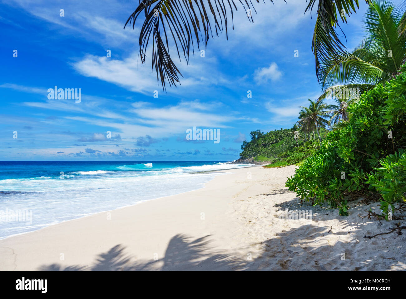 beautiful paradise beach with palm trees, granite rocks, white sand and ...