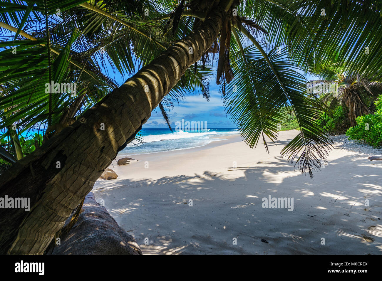 beautiful paradise beach with palm trees, granite rocks, white sand and ...
