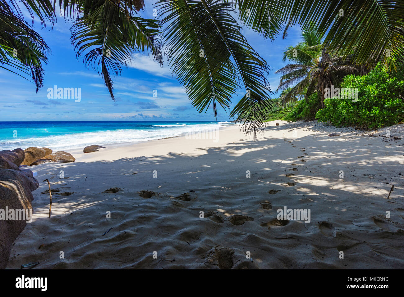 beautiful paradise beach with palm trees, granite rocks, white sand and ...