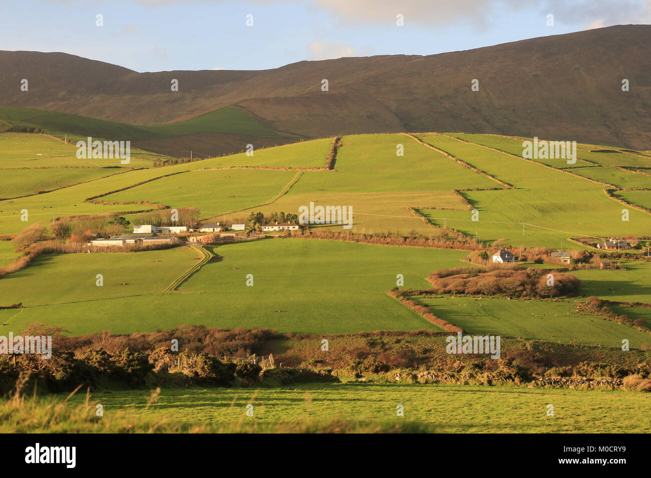 The Wild Unspoiled Landscape of Ireland Stock Photo - Alamy