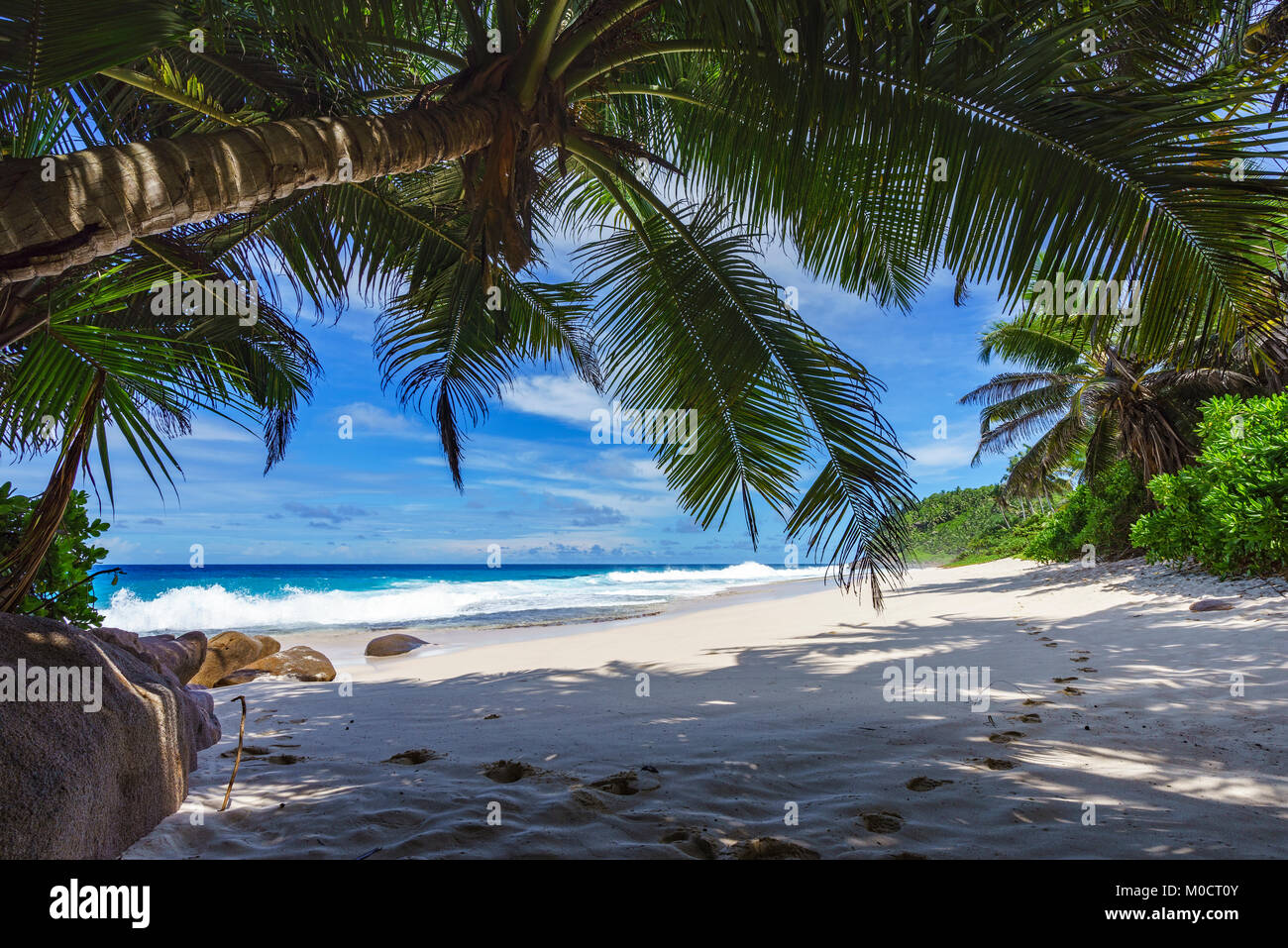 beautiful paradise beach with palm trees, granite rocks, white sand and ...