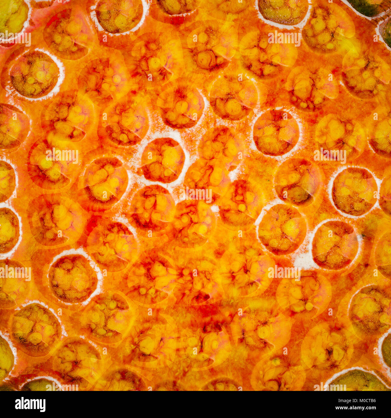 Ceramic glaze texture hi-res stock photography and images - Alamy