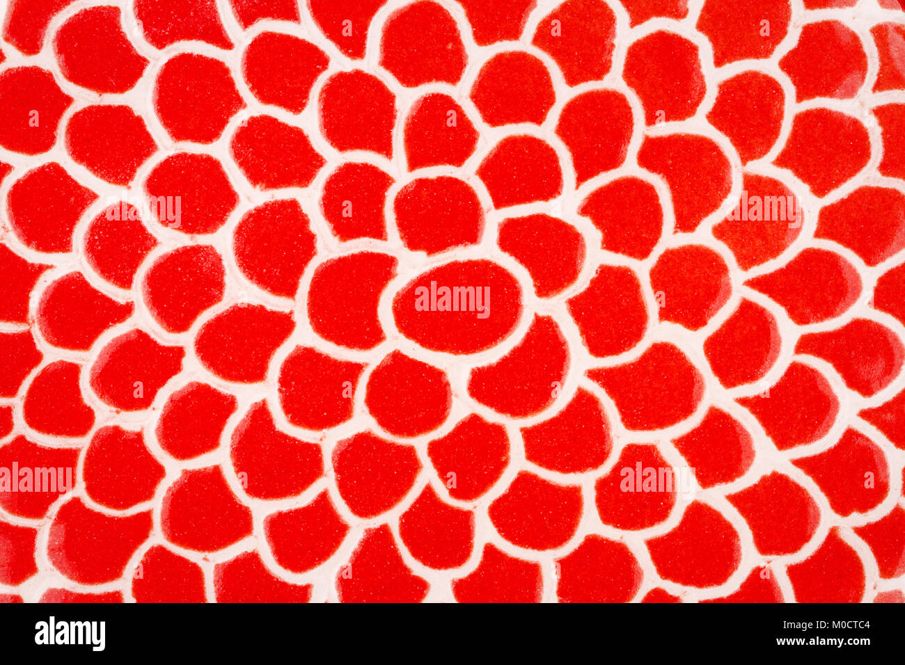 Glazed with red hi-res stock photography and images - Alamy