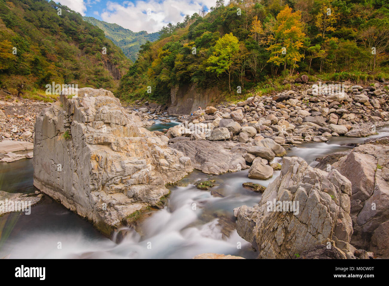 Beautiful mountain river in forest hi-res stock photography and images ...