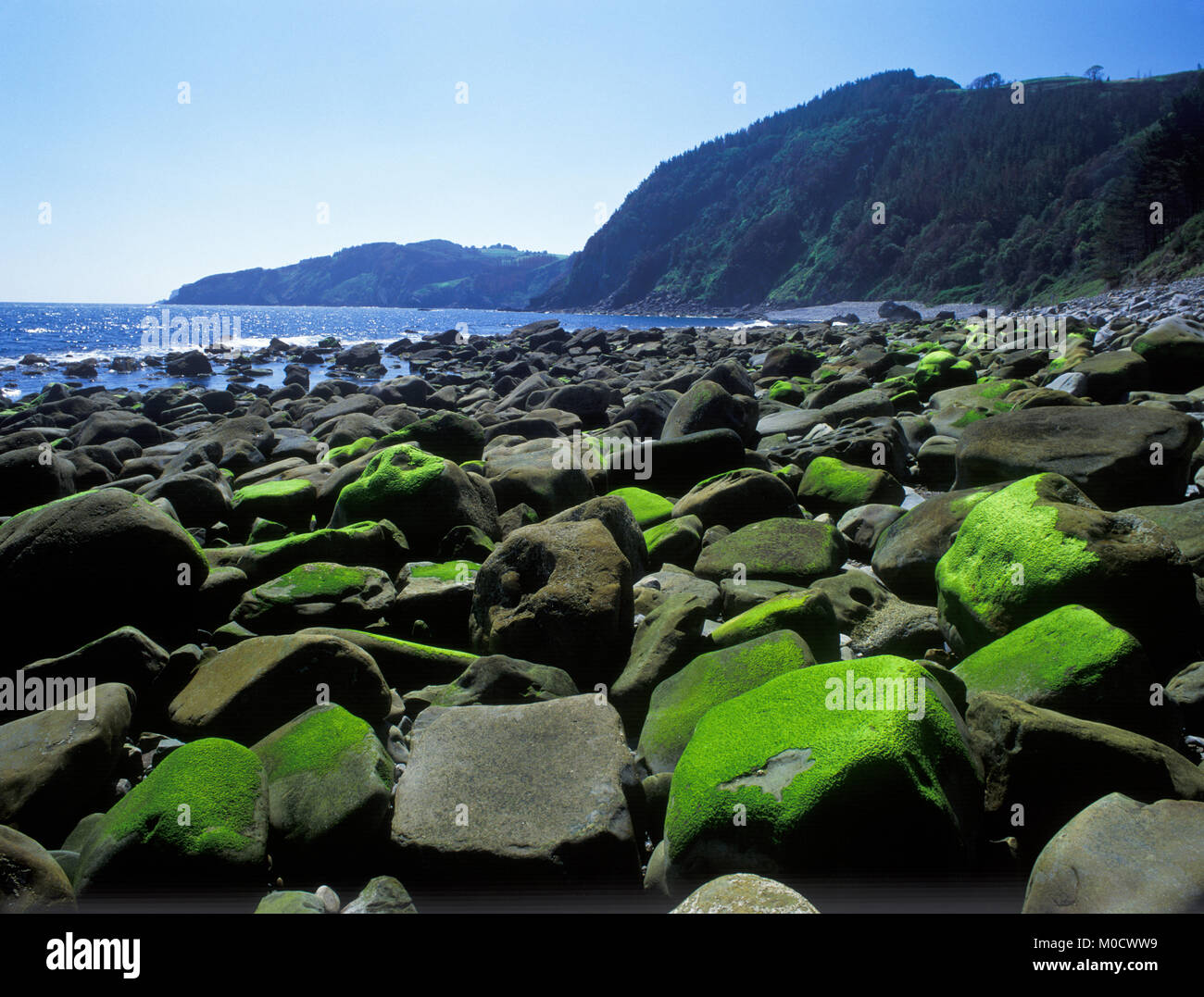 Urdaibai Biosphere Reserve, Bizkaia, Basque Country, Spain, Europe ...