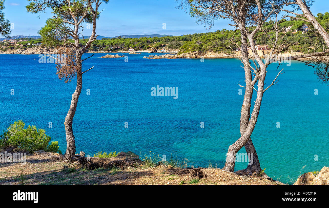 Nice detail from Costa Brava coastal in Spain, La Fosca Stock Photo - Alamy