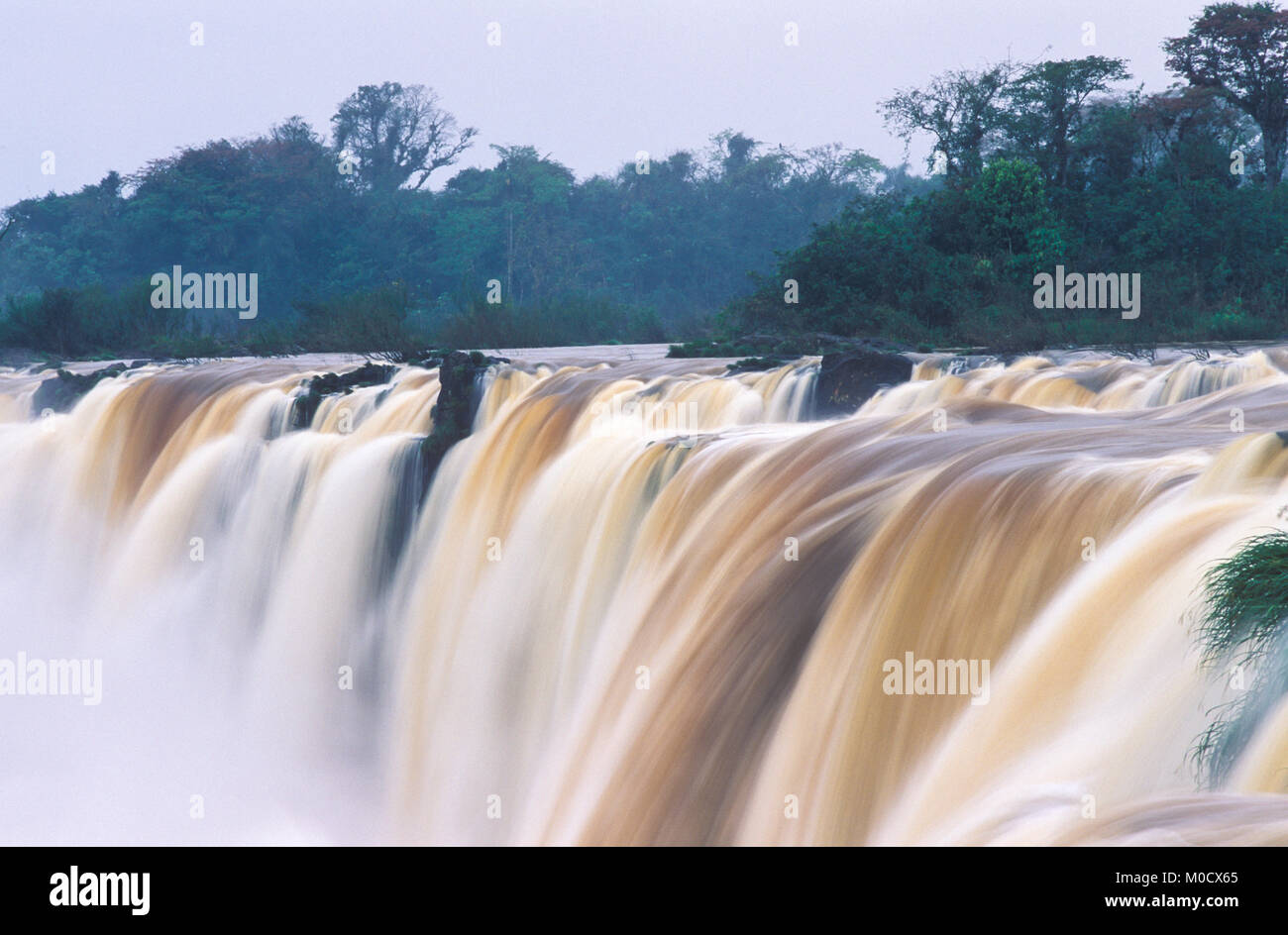 Iguazu waterfall, Brasil Stock Photo - Alamy