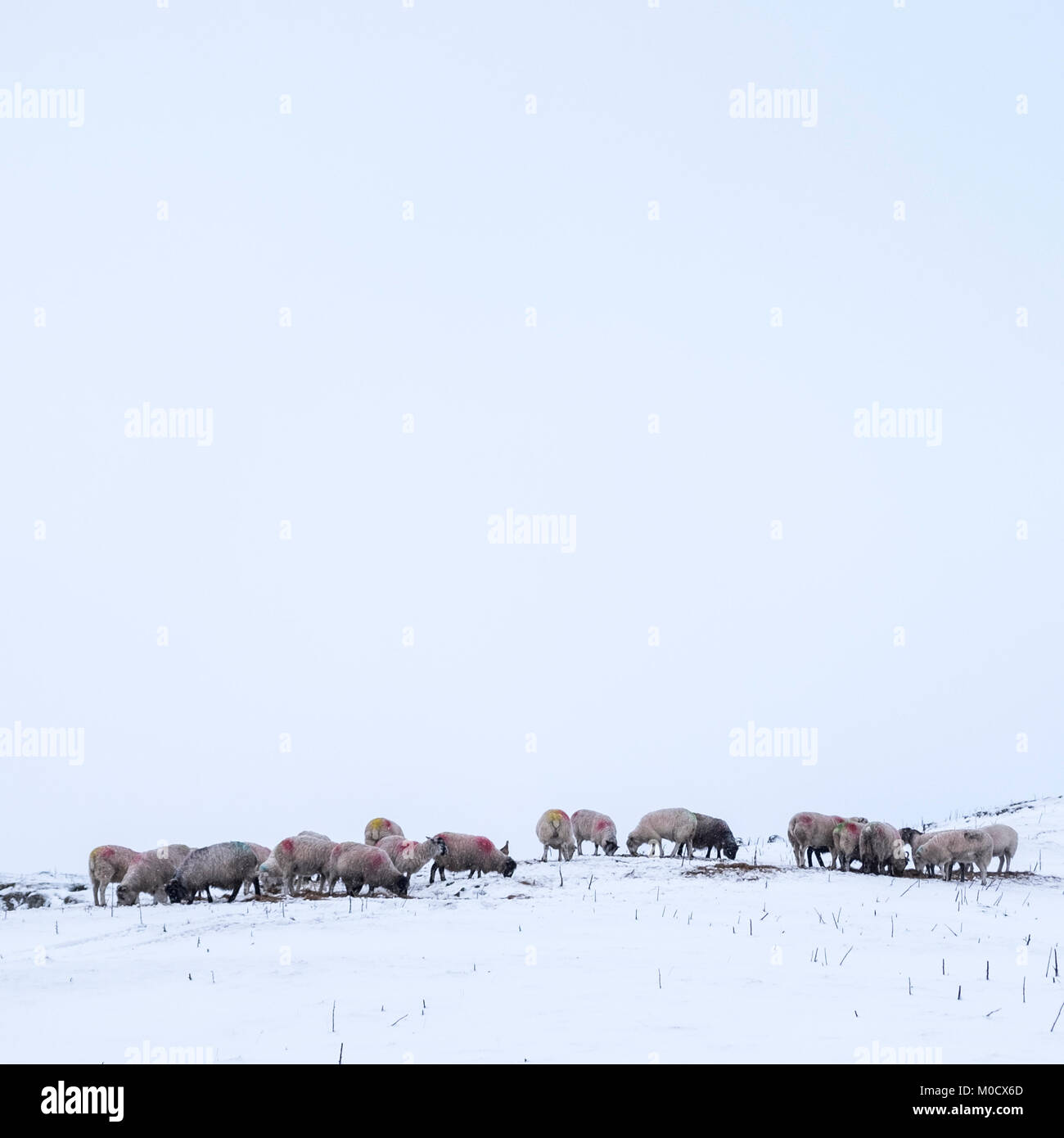 Horton in craven hi-res stock photography and images - Alamy