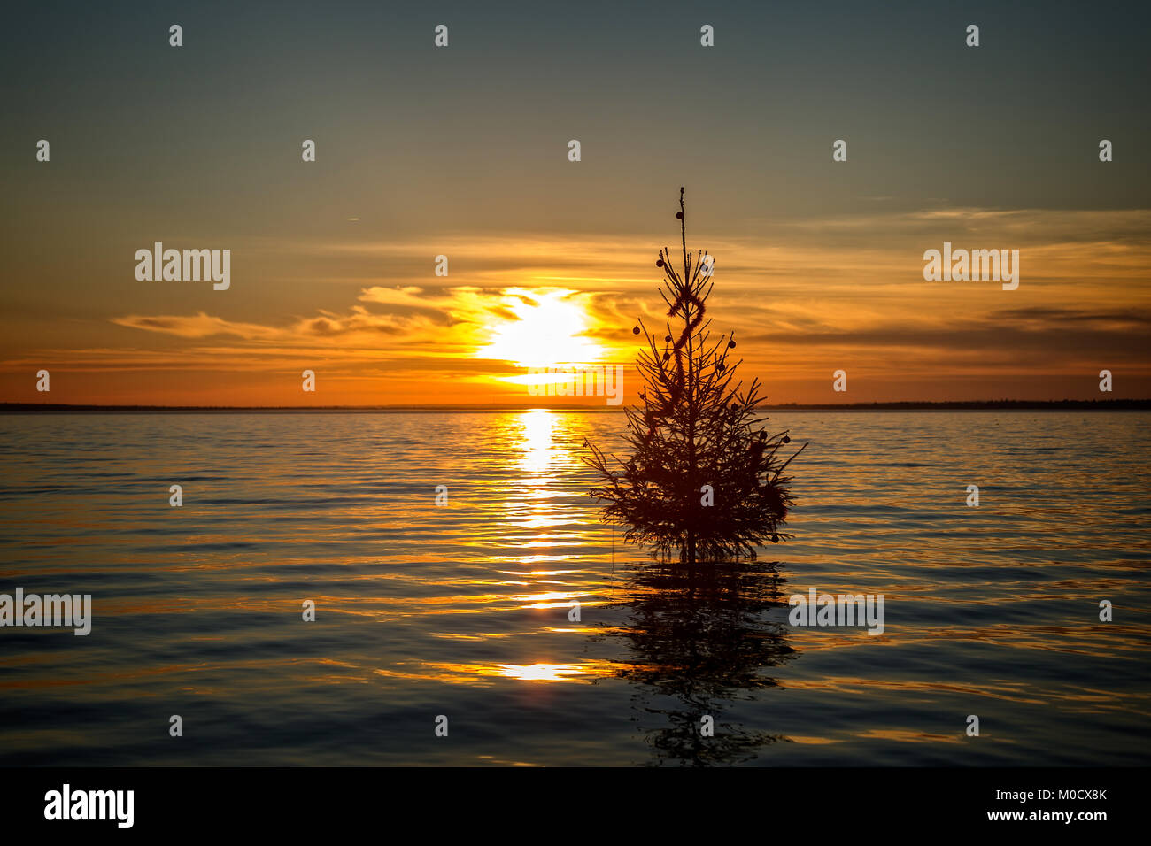 Hungarian Christmas tradition to set Christmas tree in the lake Balaton ...