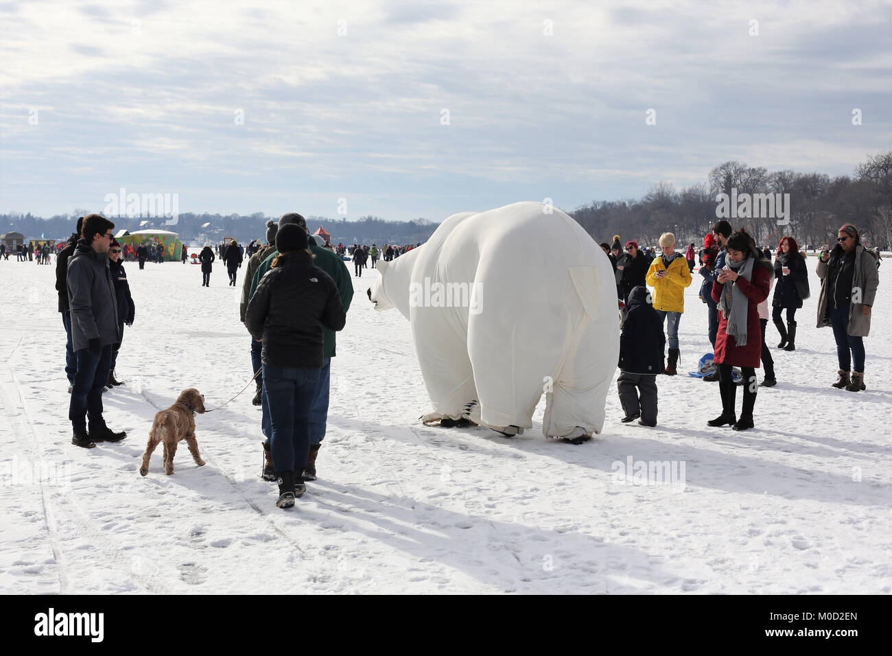 Ice bear project hi-res stock photography and images - Alamy