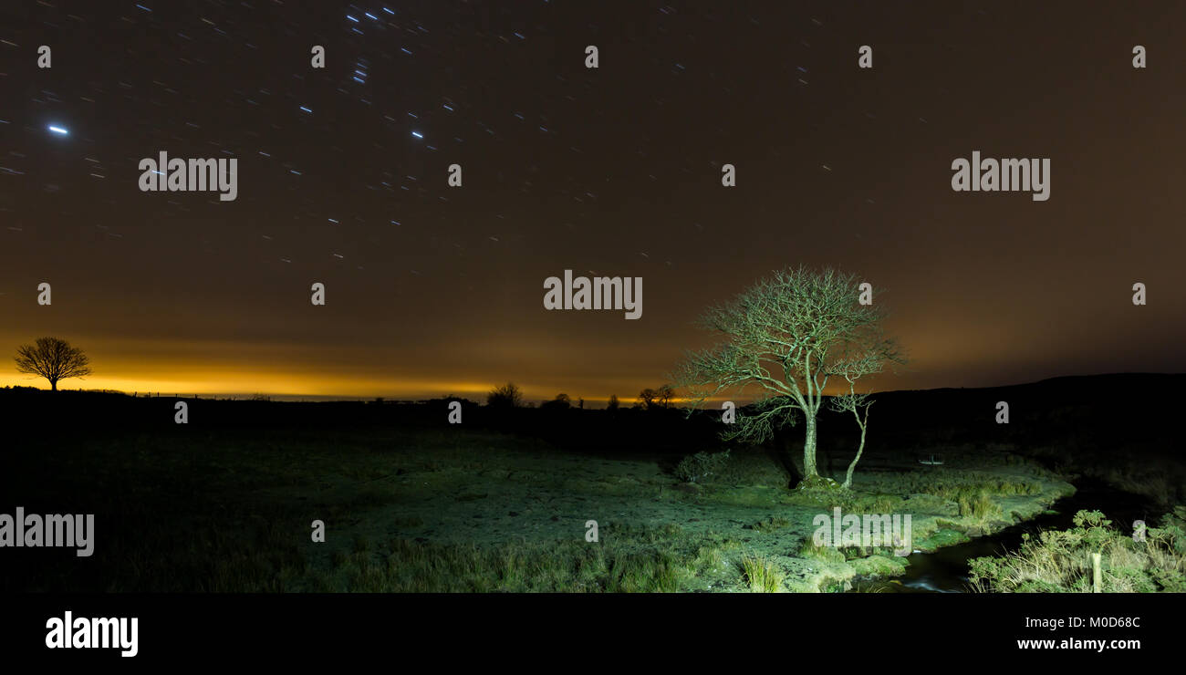 A tree under the night sky. © Ian Jones/Alamy Live News Stock Photo - Alamy