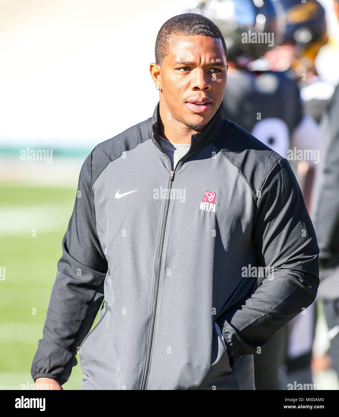Ray rice hi-res stock photography and images - Alamy