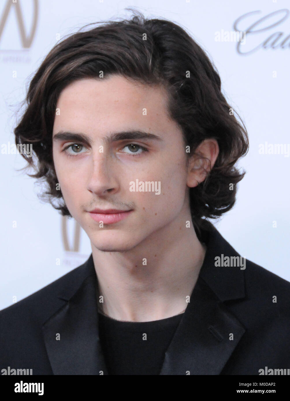 BEVERLY HILLS, CA - JANUARY 20: Actor Timothee Chalamet attends the ...