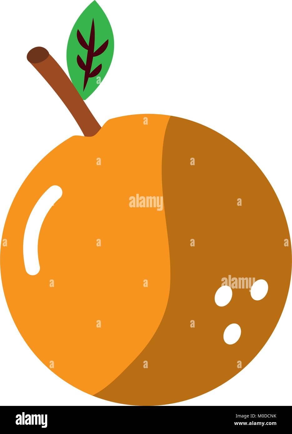 orange fruit icon image Stock Vector Image & Art - Alamy