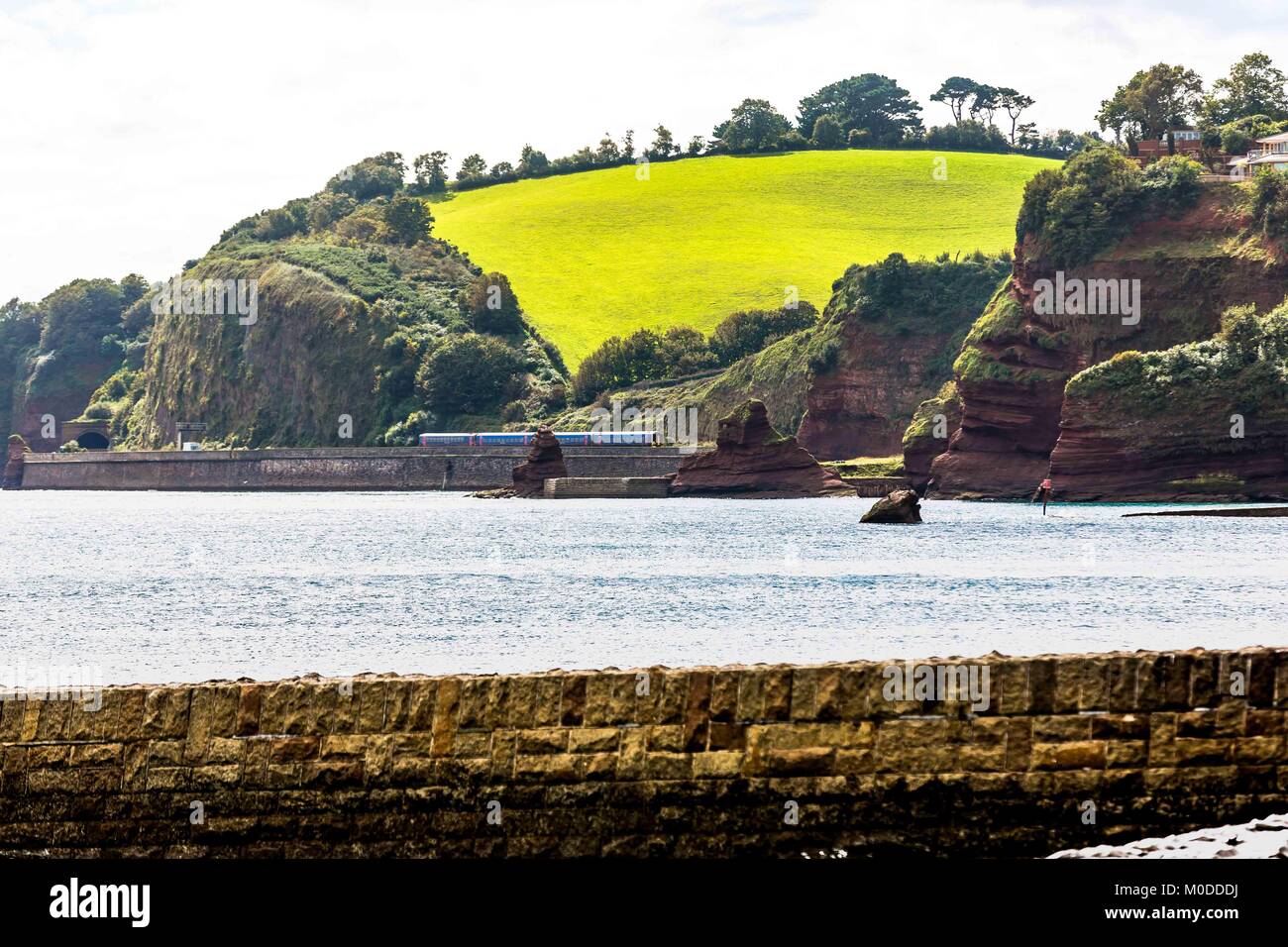 A green field in sunlight overlooking the Devon coast in England Stock ...