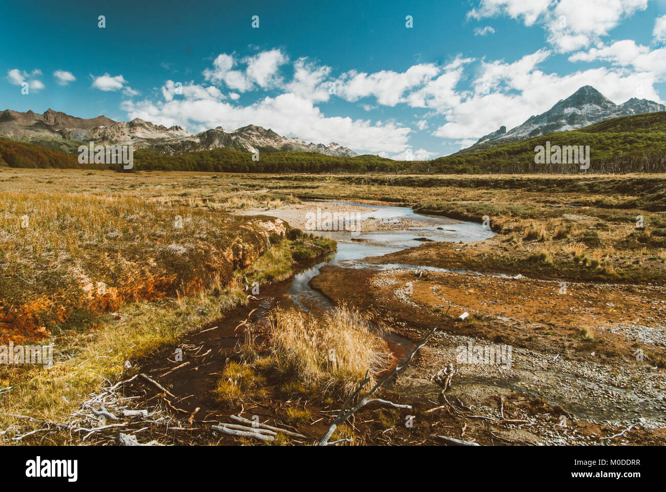 Wild Patagonia in the trekking path near the emerald lagoon,Ushuaia ...