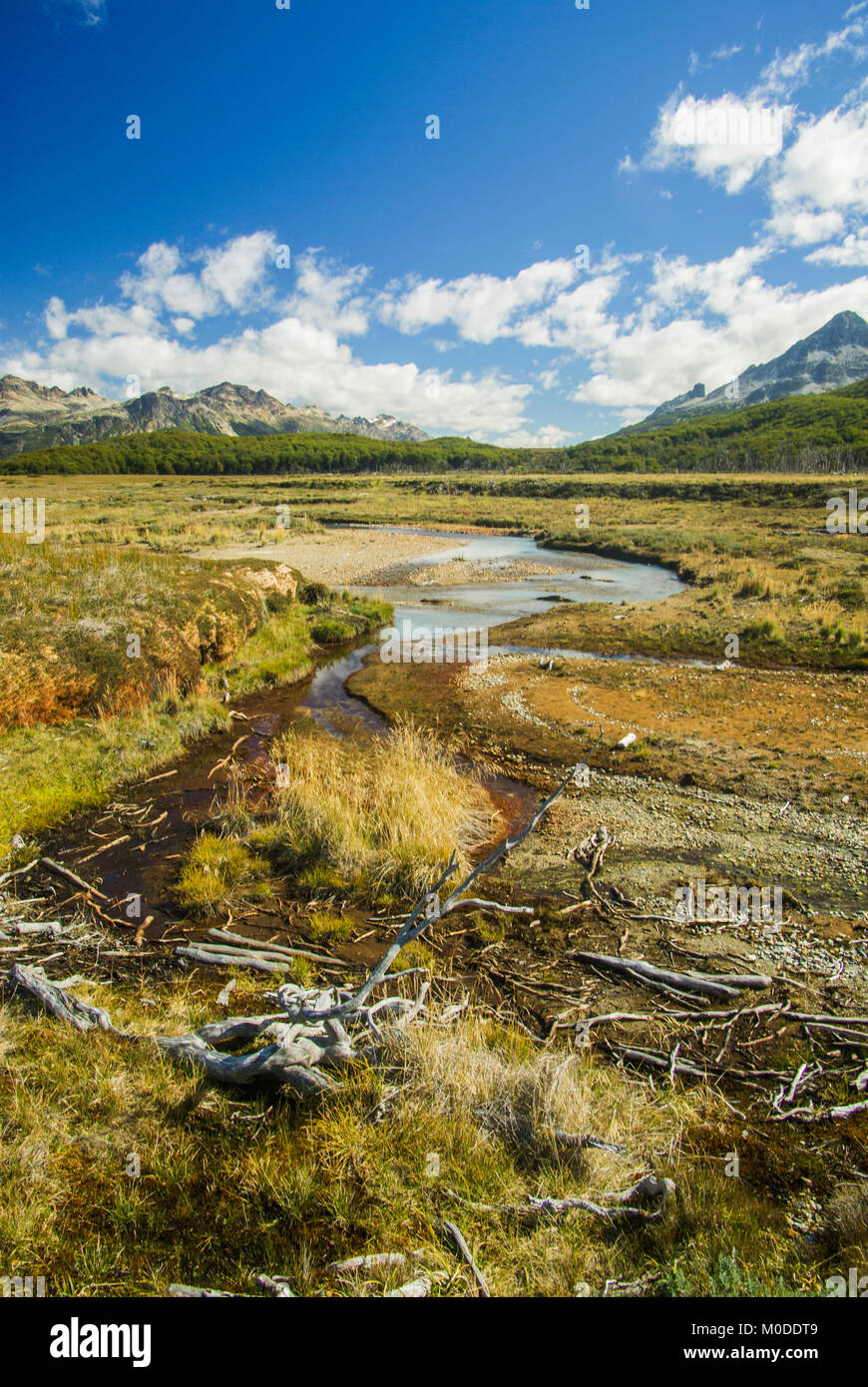 Wild Patagonia in the trekking path near the emerald lagoon,Ushuaia ...
