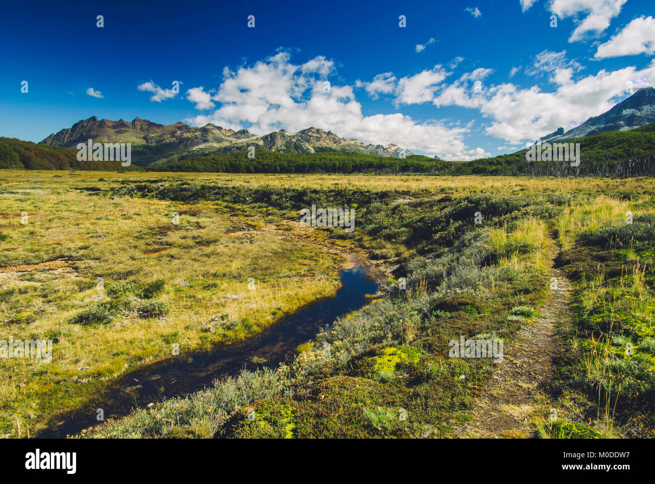 Wild Patagonia in the trekking path near the emerald lagoon,Ushuaia ...