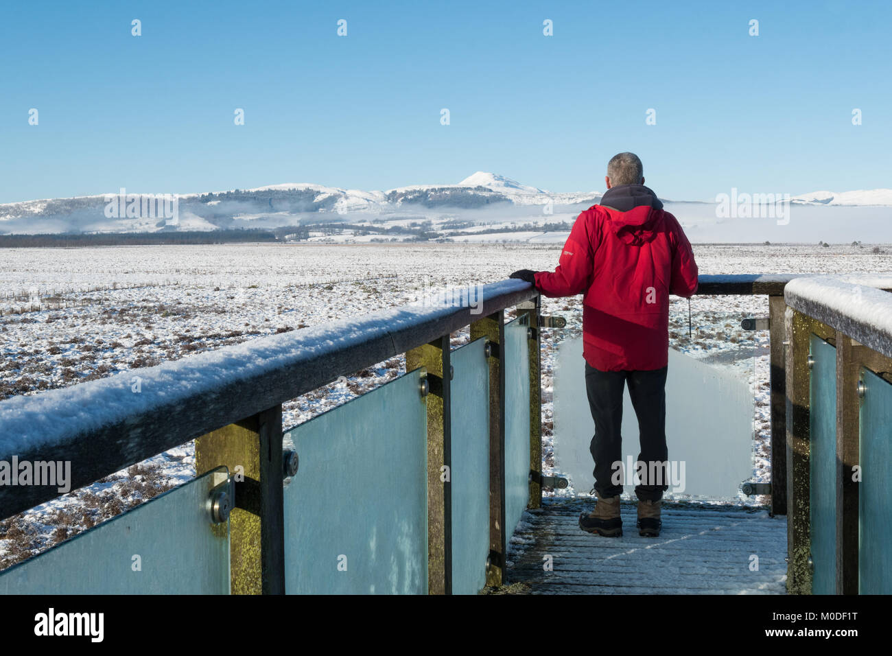 Flanders Moss National Nature Reserve - man standing at the top of the ...