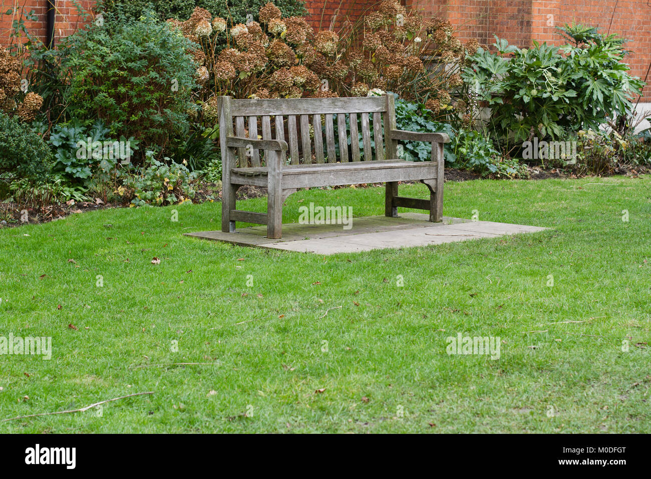 side view of wooden bench on green grass in a city park with bushes and ...