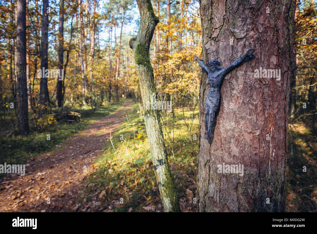 Christ figure on a tree next to World War II grave of unknown soldiers ...