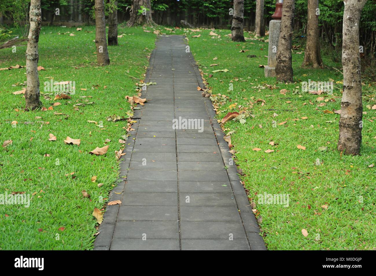 cement block walkway in the park Stock Photo - Alamy