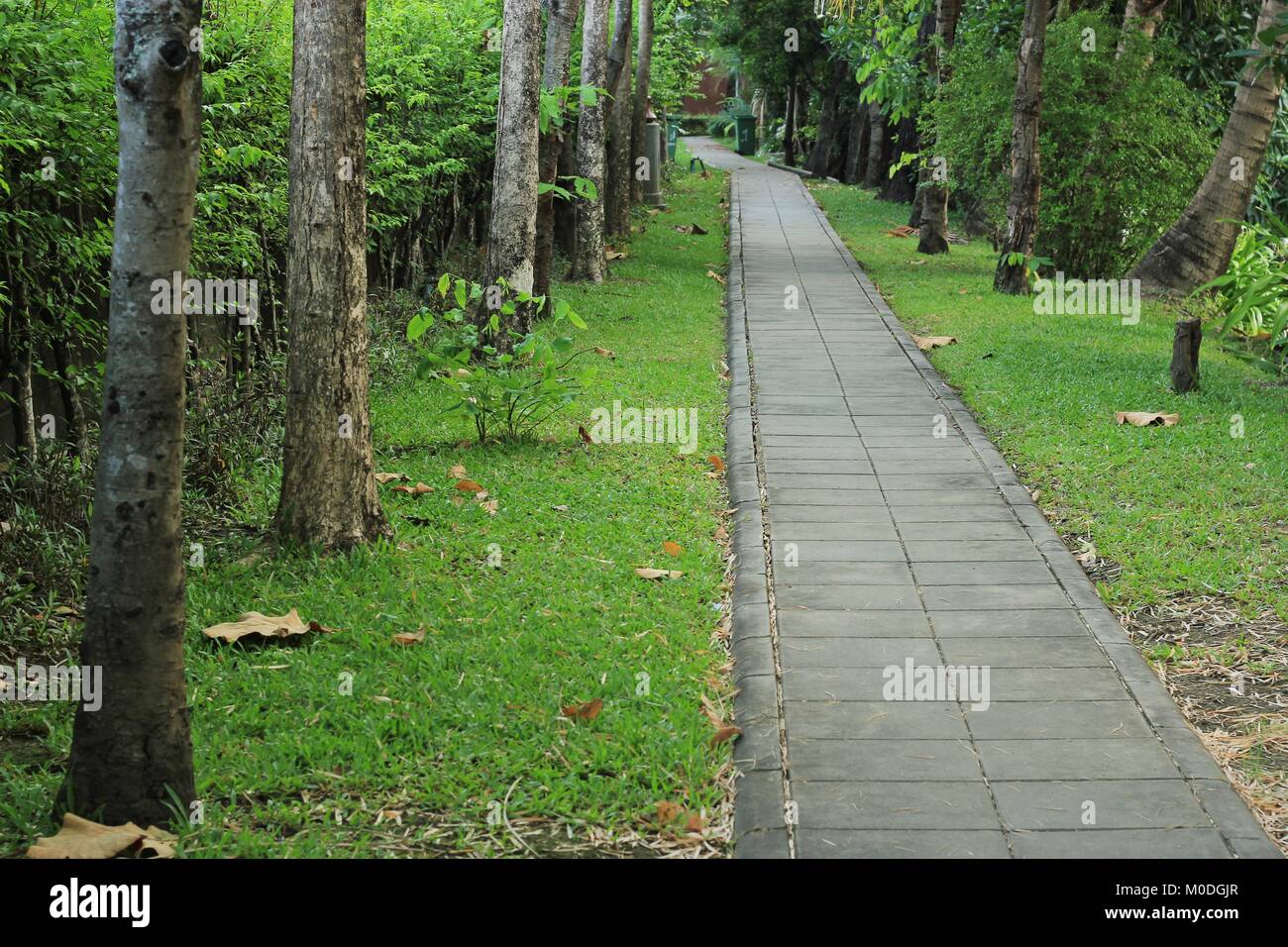 cement block walkway in the park Stock Photo - Alamy