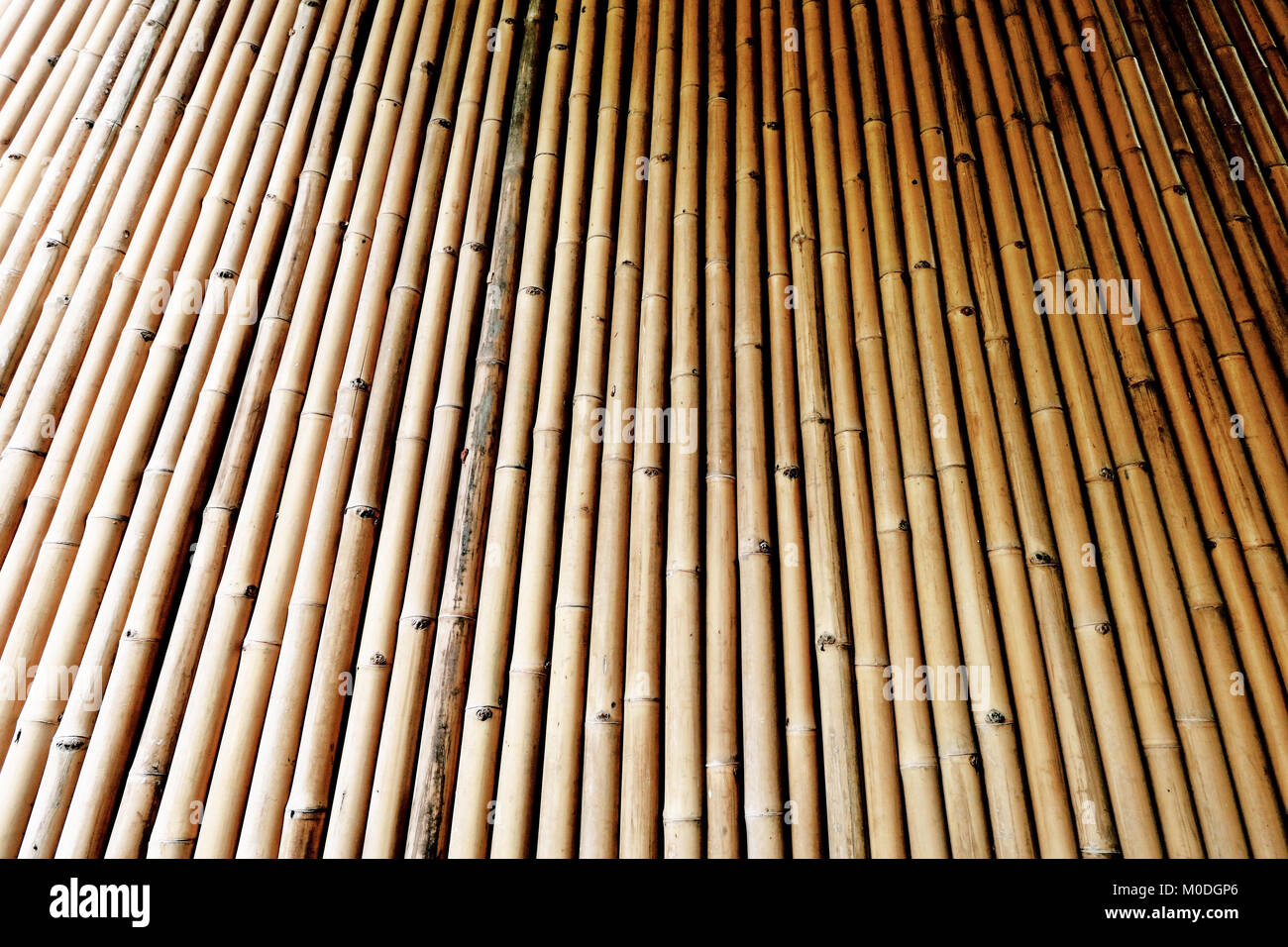 dark natural bamboo fence texture background Stock Photo - Alamy