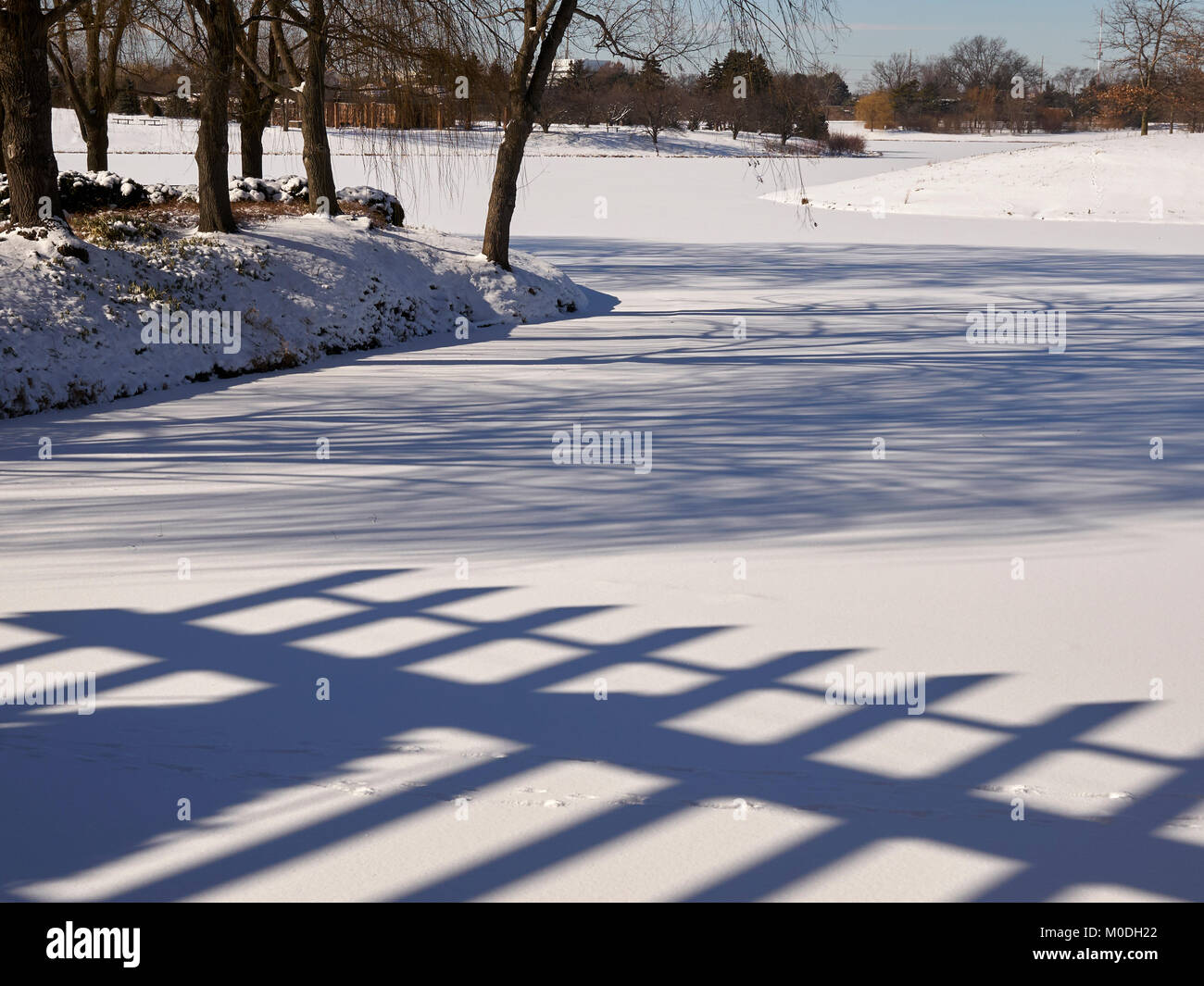 Frozen lake trees covered snow hi-res stock photography and images - Alamy