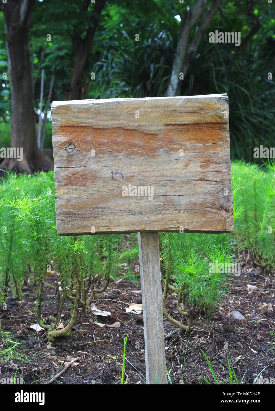 wood sign in a garden Stock Photo - Alamy