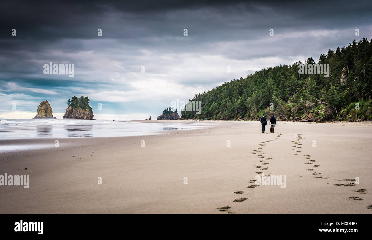 Two people walking on the beach with sea stacks in the background on a ...
