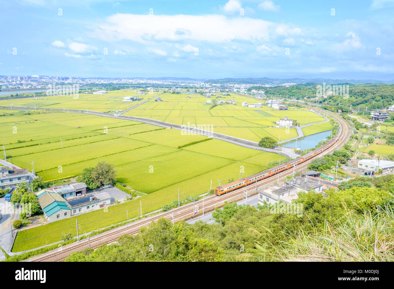 Train passing through forest rail hi-res stock photography and images ...