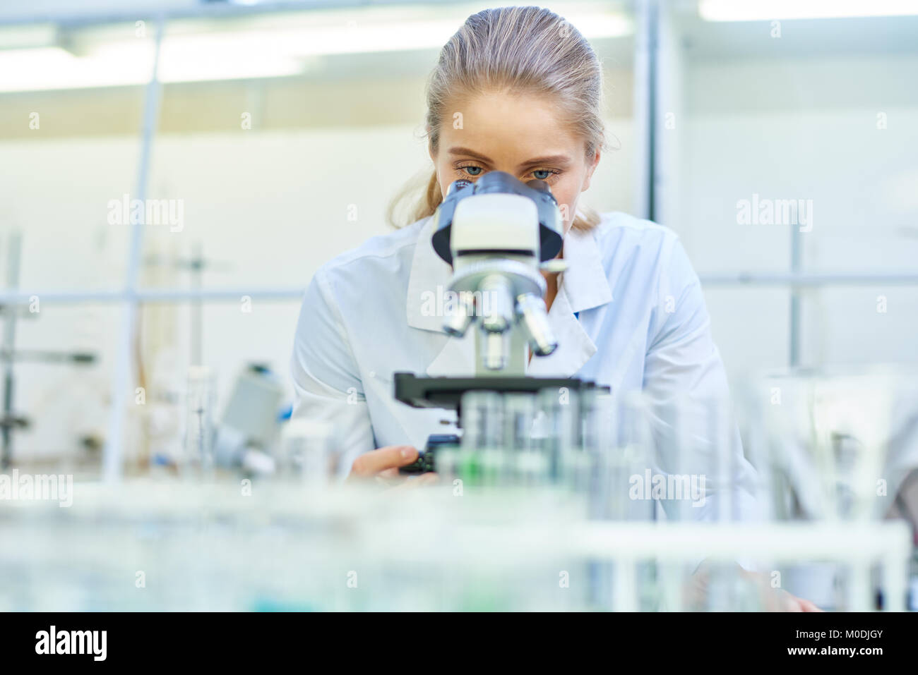 Female Scientist Using Microscope in Laboratory Stock Photo - Alamy