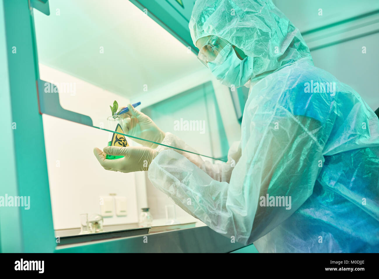 Bio Scientist Working with Plant Stock Photo - Alamy