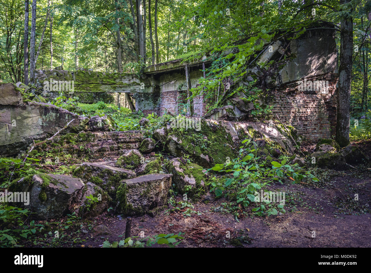 Collapsed building in Wolf's Lair - the headquarters of Adolf Hitler ...