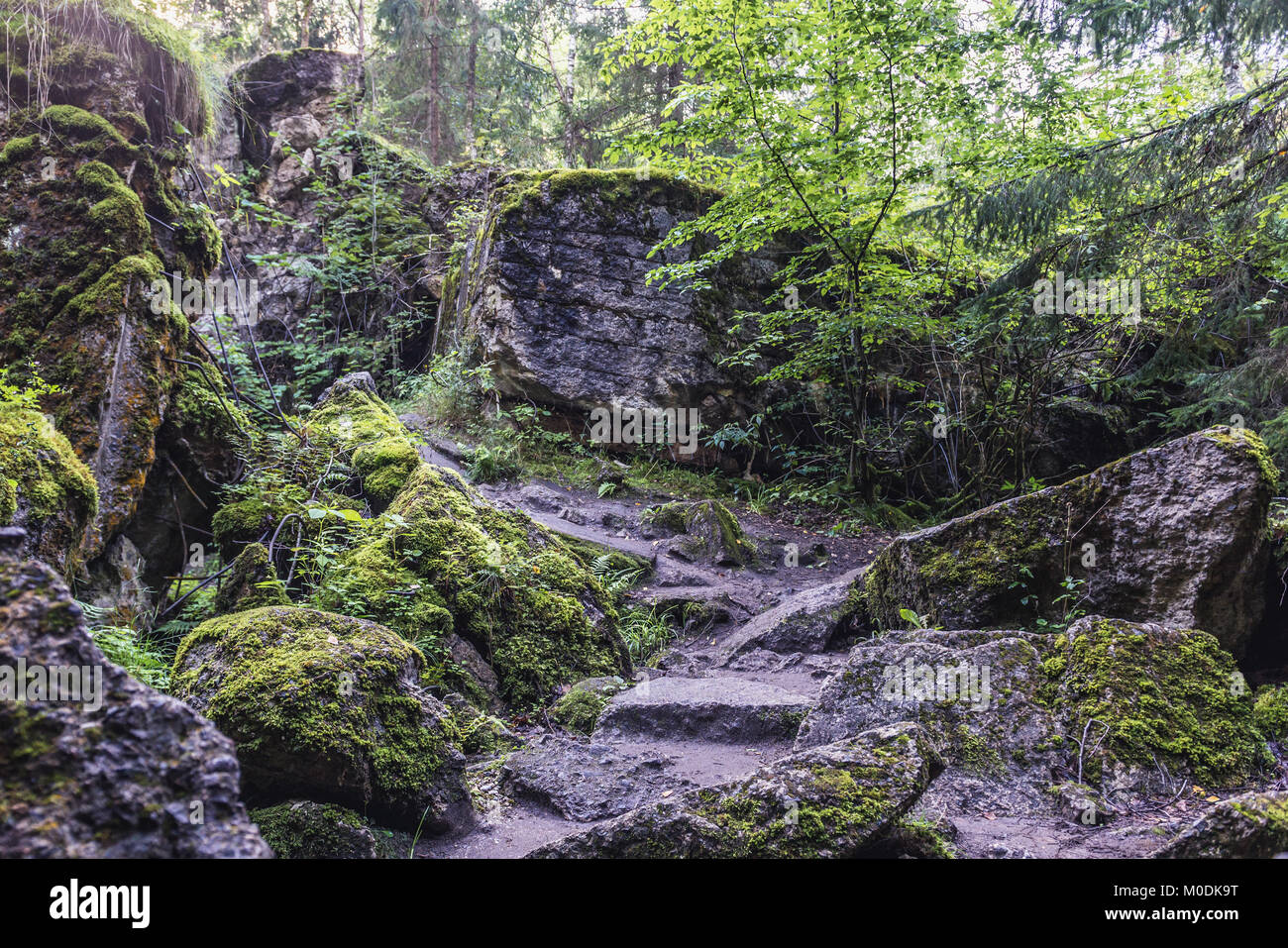 Ruins of Hitler's bunker in Wolf's Lair, headquarters of Adolf Hitler ...