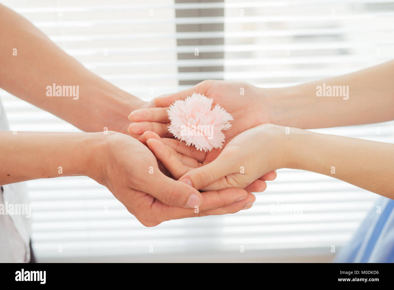 Couple in love. Man and woman hand over pink flower Stock Photo - Alamy