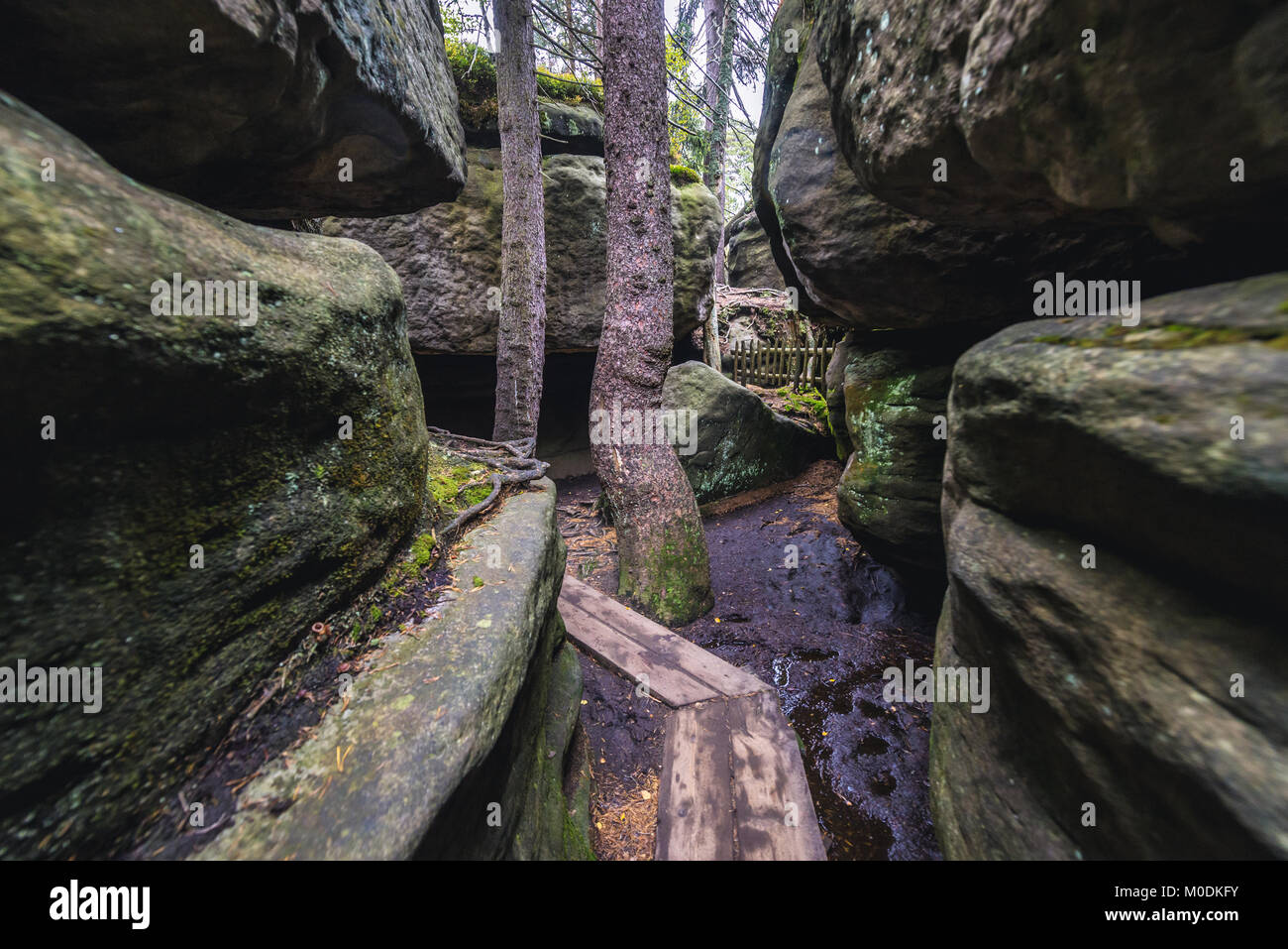 Rock labirynth called Bledne Skaly (Errant Rocks) in Stolowe Mountains ...
