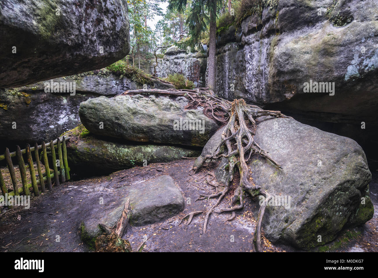 Bledne Skaly (Errant Rocks) in Stolowe Mountains (Table Mountains ...