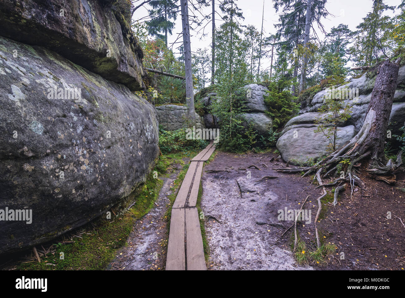 Path among rocks of Bledne Skaly (Errant Rocks) in Stolowe Mountains ...