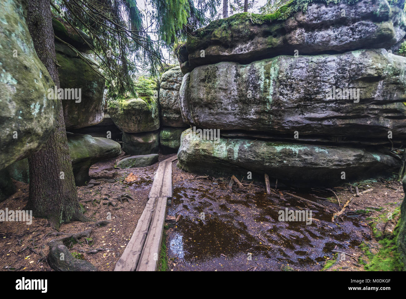 Rock labirynth called Bledne Skaly (Errant Rocks) in Stolowe Mountains ...