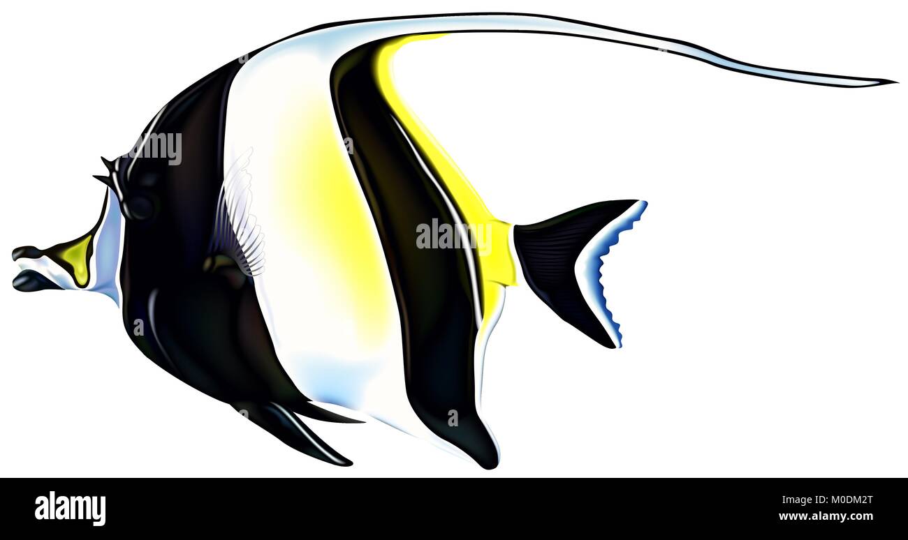 Reef art cut Stock Vector Images - Alamy