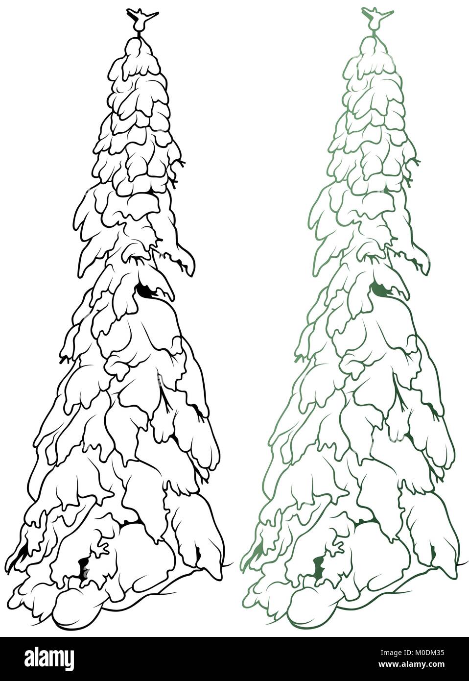 Conifer clipart Stock Vector Images - Alamy