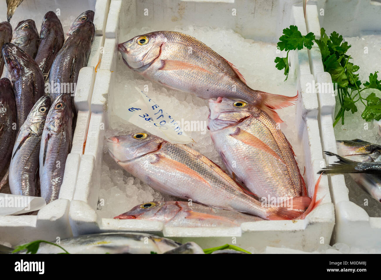 Raw fresh fish on ice at the fish market in Savona, Liguria, Italy ...
