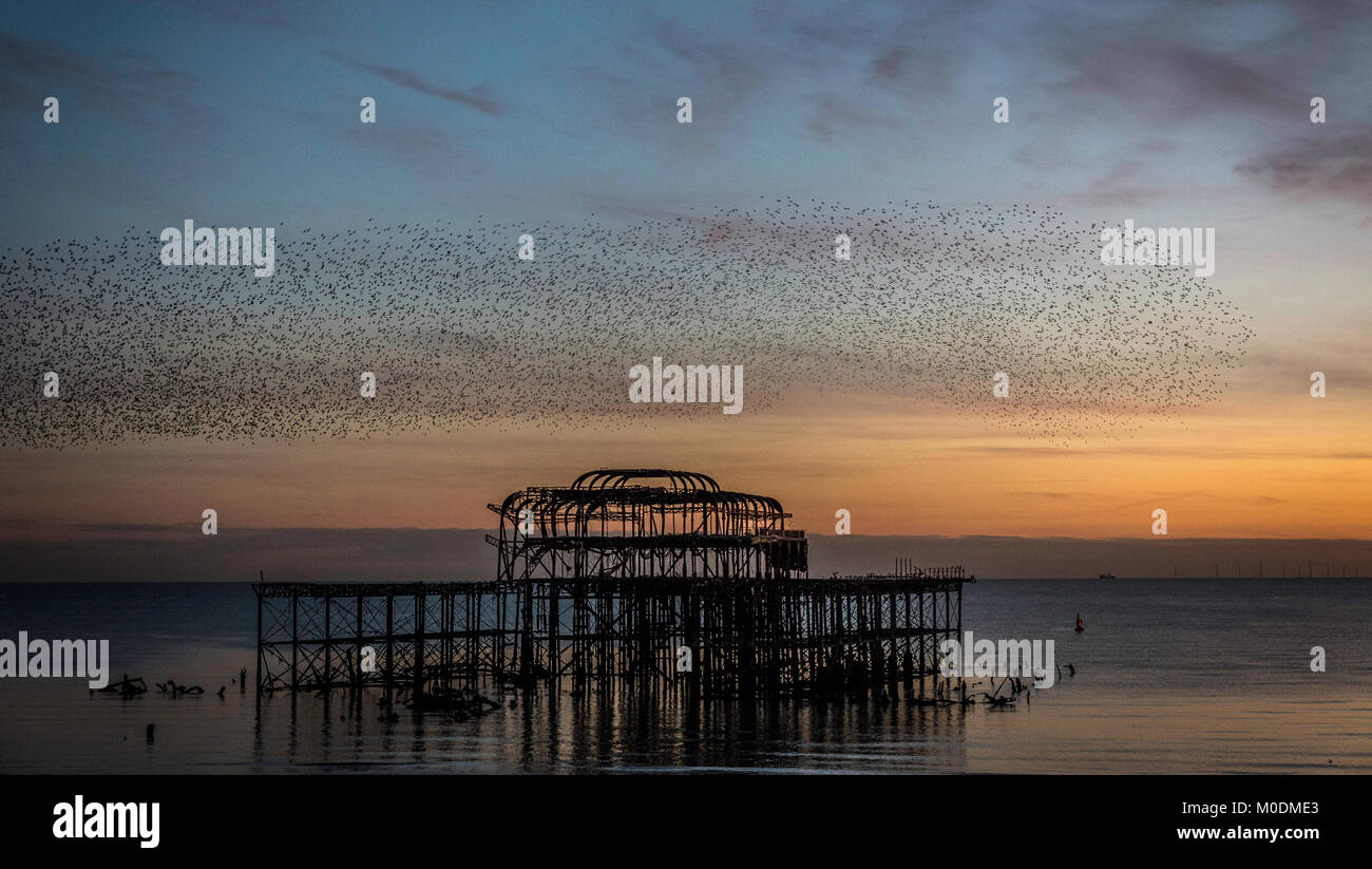 Pier sunsets brighton hi-res stock photography and images - Alamy