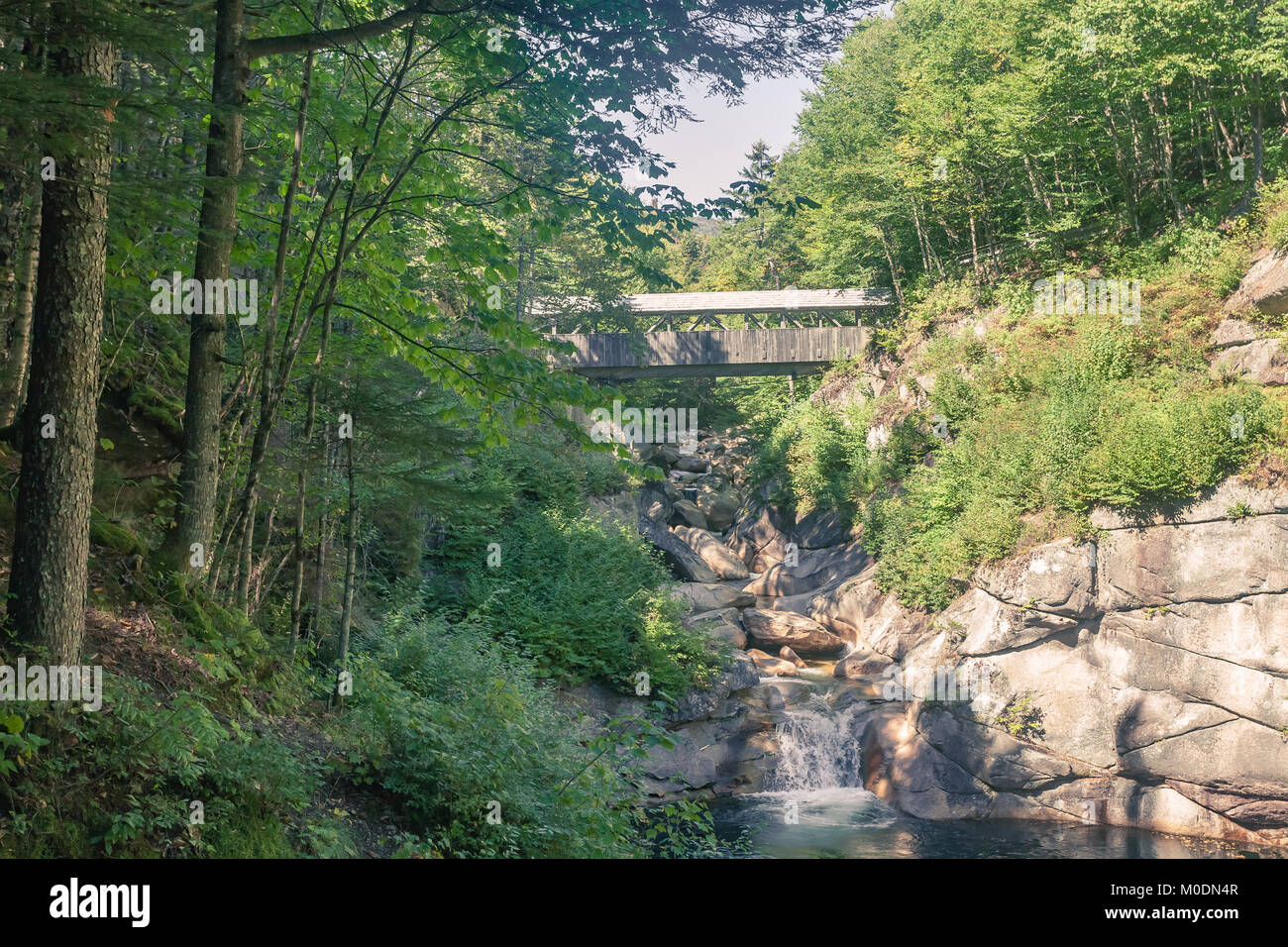 Sentinel Pine Bridge High Resolution Stock Photography and Images - Alamy