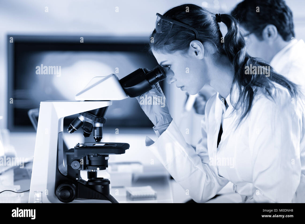 Life scientist researching in the laboratory Stock Photo - Alamy