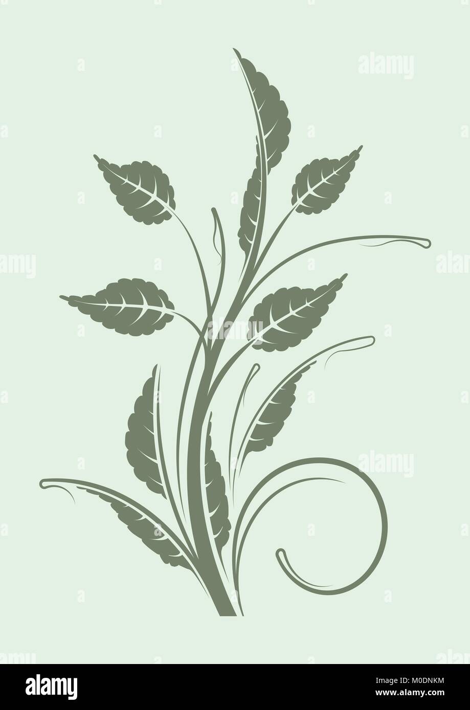 Mint plant natural background Stock Vector Images - Alamy