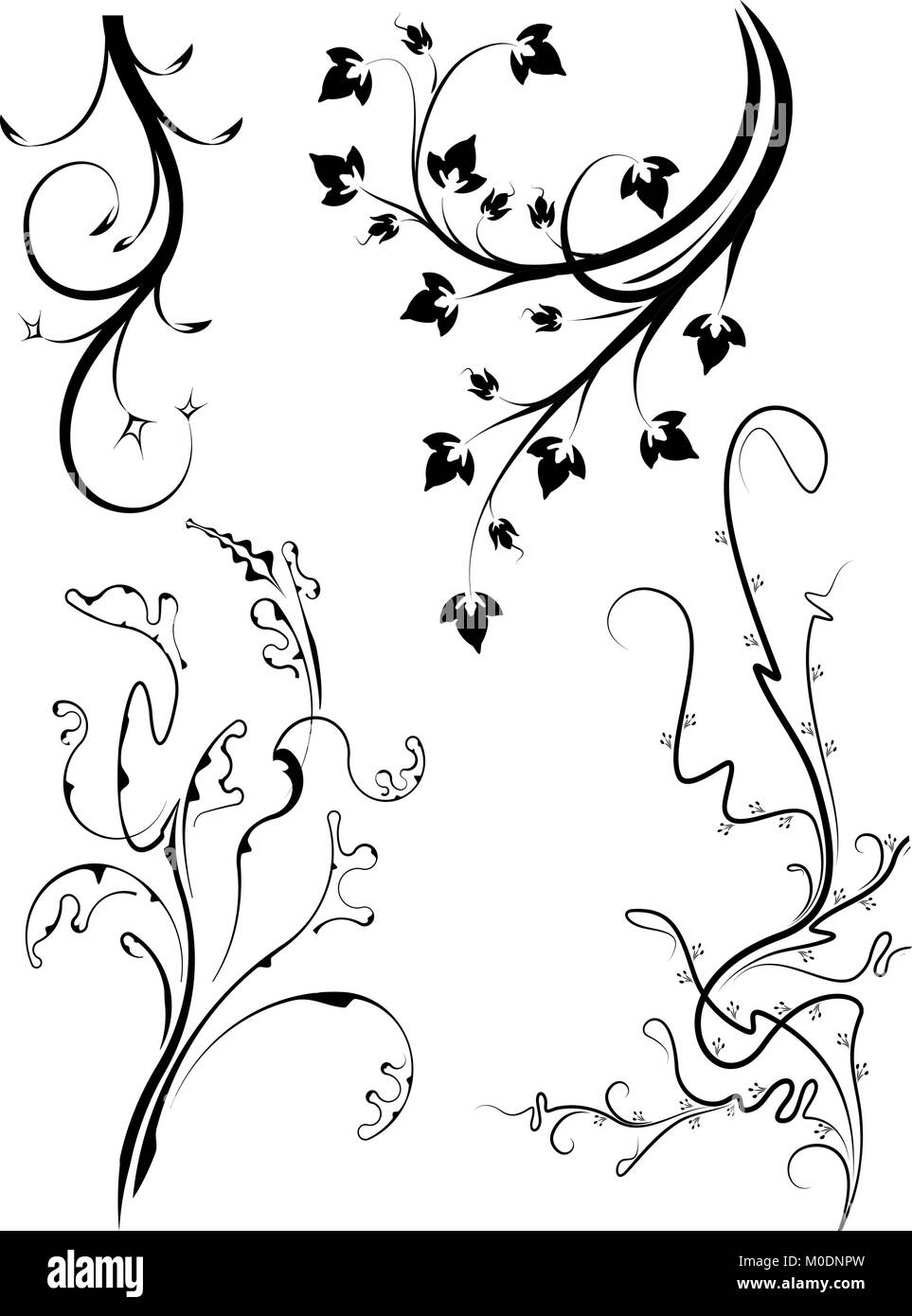 Set of 4 decorative floral branches Stock Vector Image & Art - Alamy