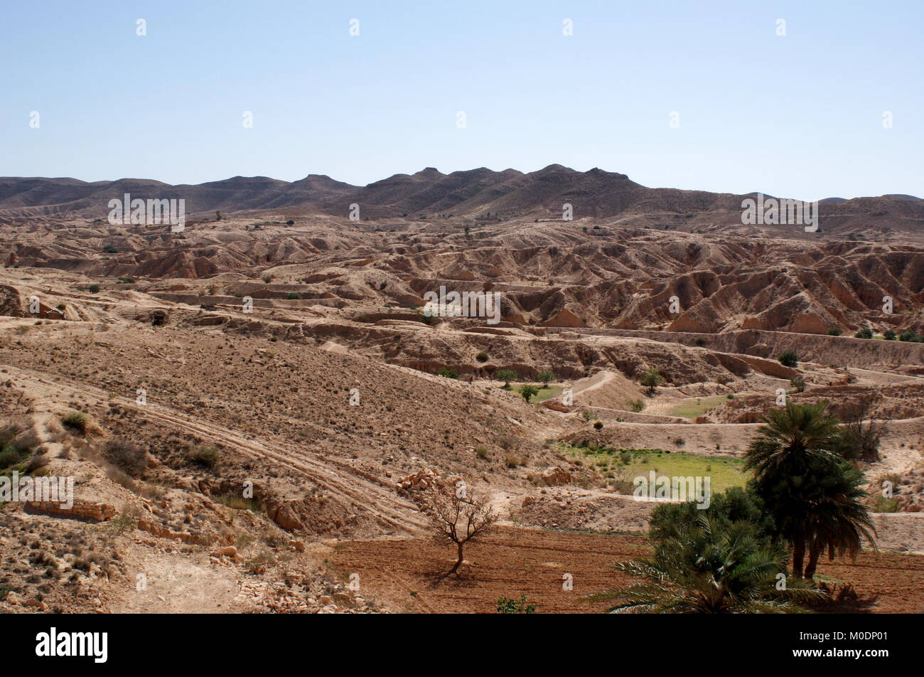 Desert landscape neat Tamezret, Gabes district, Tunisia Stock Photo - Alamy